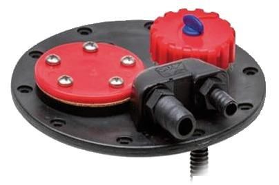 Tank inspection cover